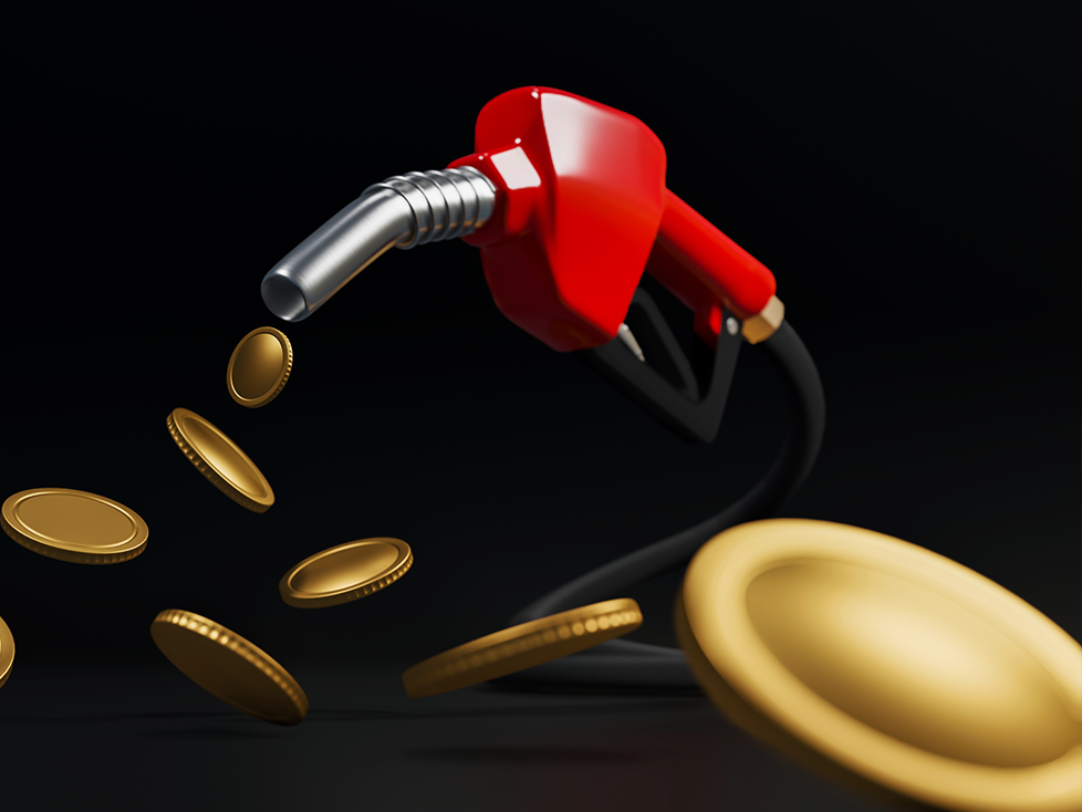 Fuel management systems: a modern way of controlling fuel | Wezom